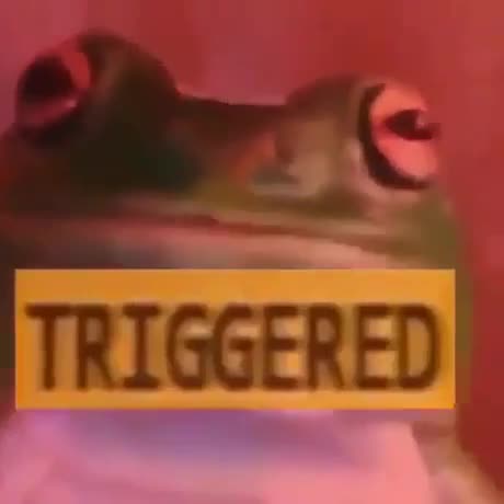 triggered frog