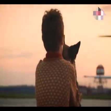 Heart touching story, Movie a dog named palma please don't abandoned dog 😭
