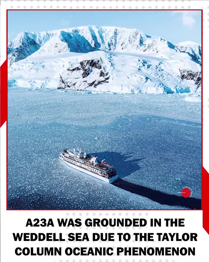World's Largest Iceberg A23a Breaks Free After 30 Years Stuck on Seafloor