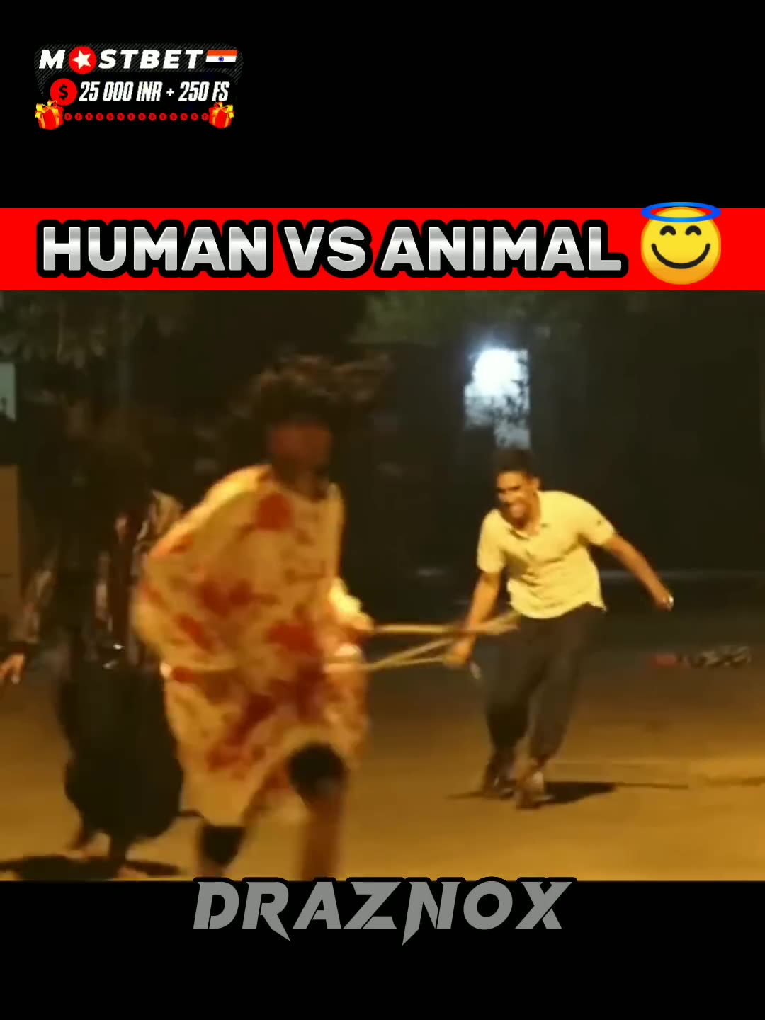 Human vs Animals