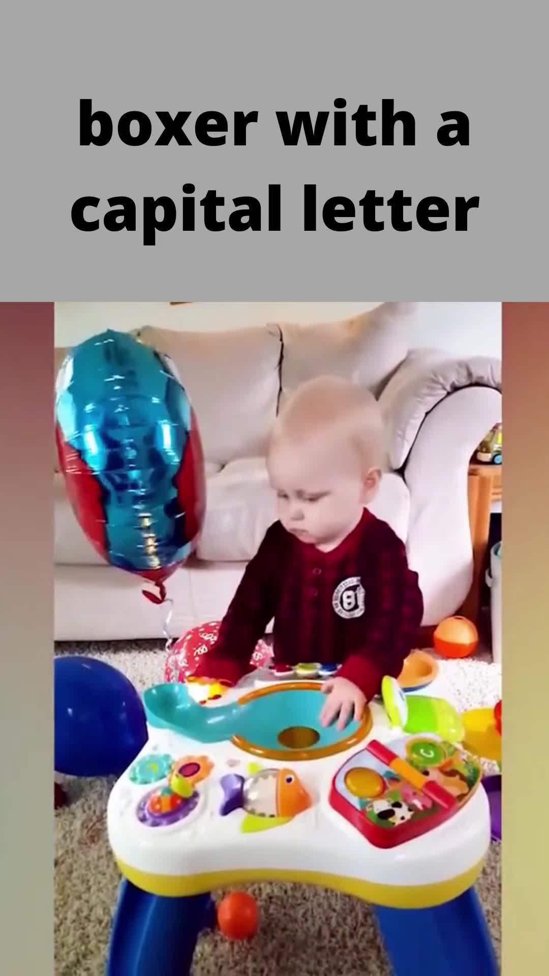 boxer with a capital letter