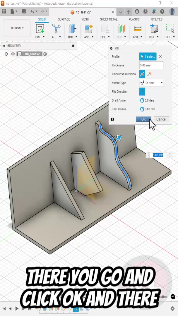 Fusion 360: RiB