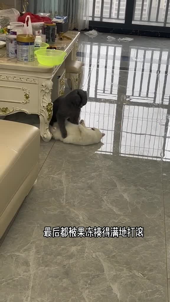Will the cat turn over a new leaf and become a better cat?