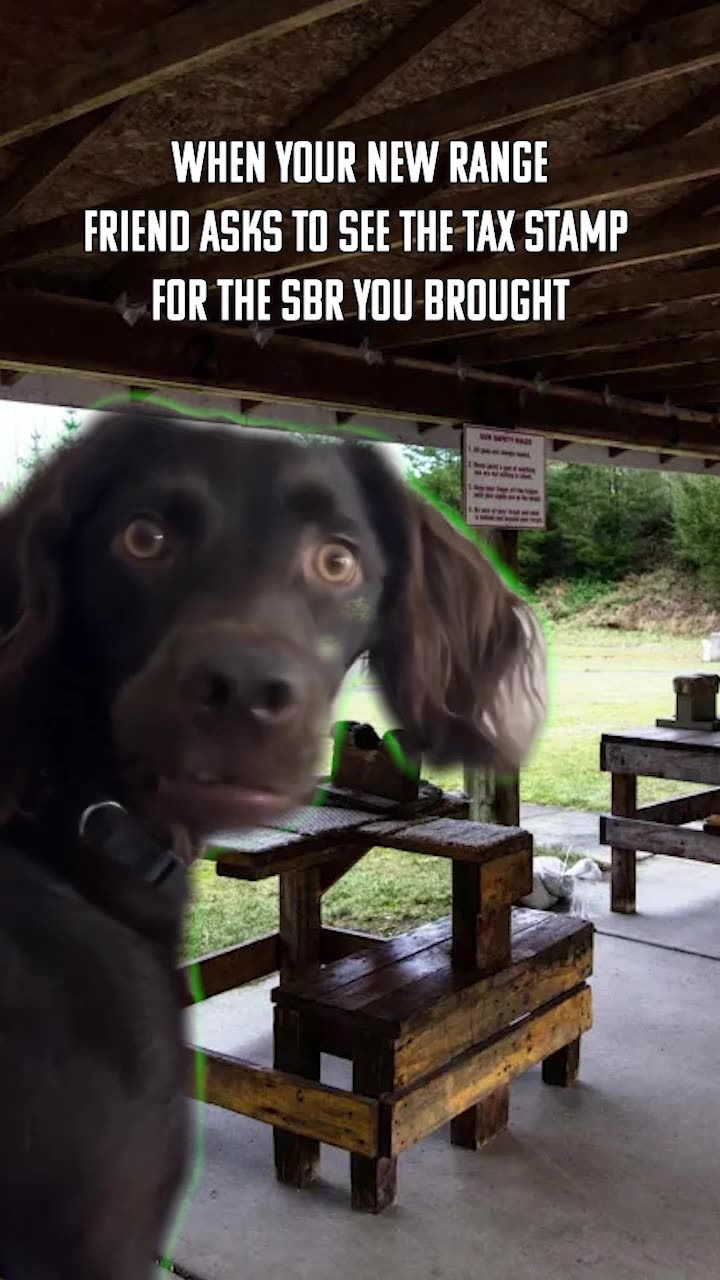 Frantic Dog Meme Drop