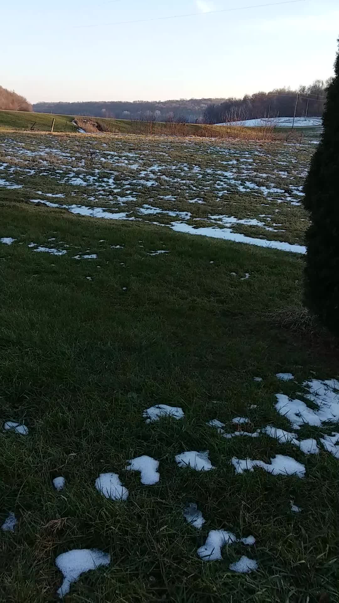 Psalm 22 Revised Standard ( The Lord is my Shepherd)