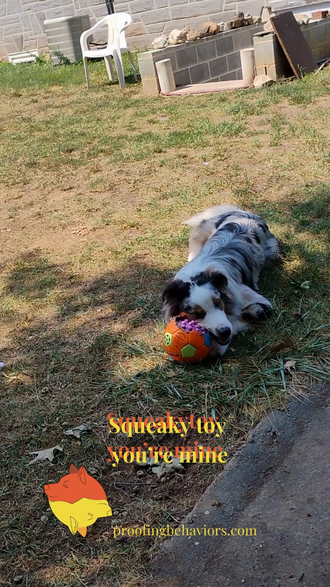 Soccer ball you’re mine cuts ruff cut 2