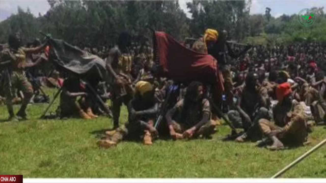 Oduu Galgala Onm Abo Onkoloolessa 29 2024 Itti Dhiyaadhaa