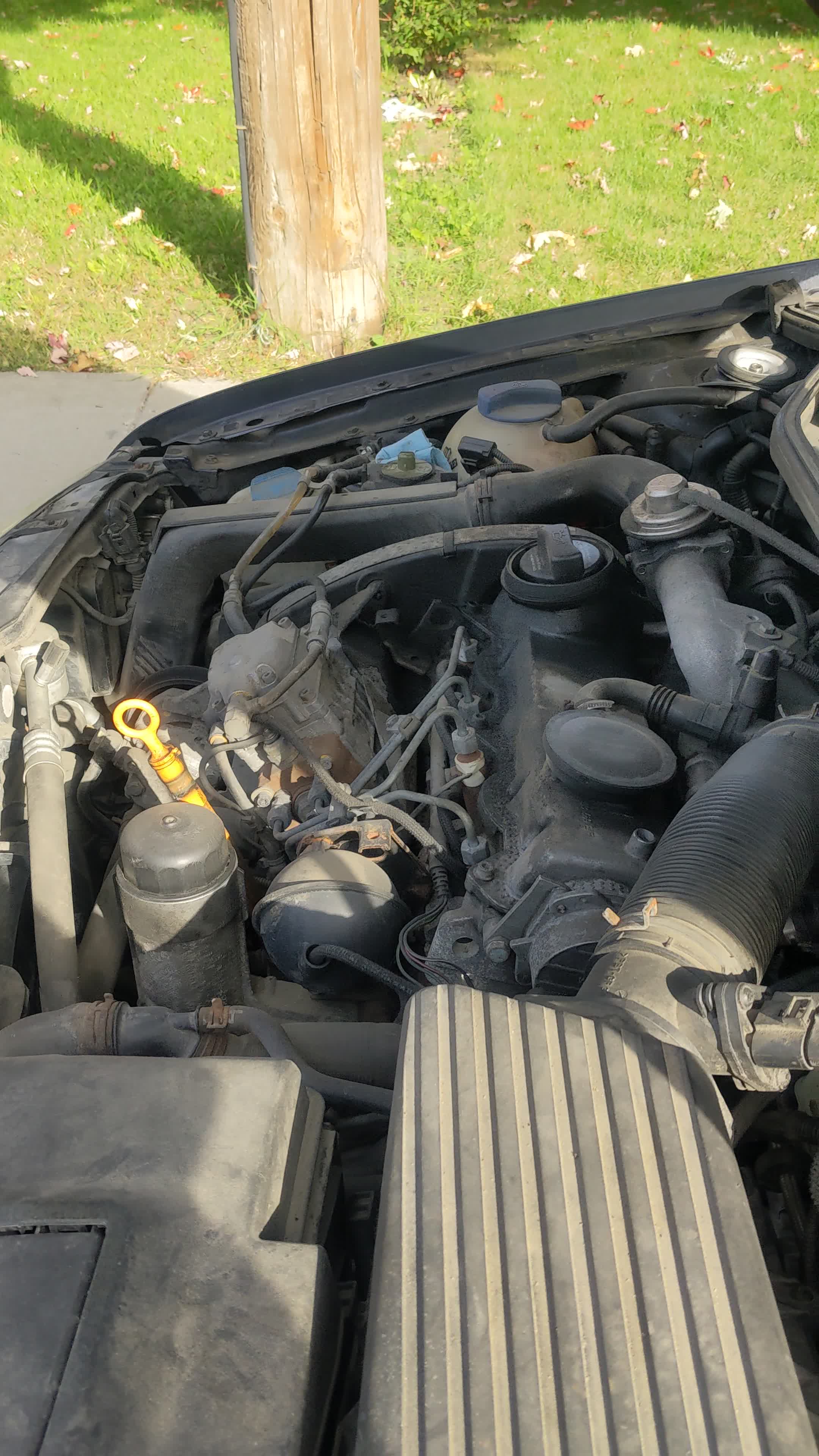 Tdi engine mounts