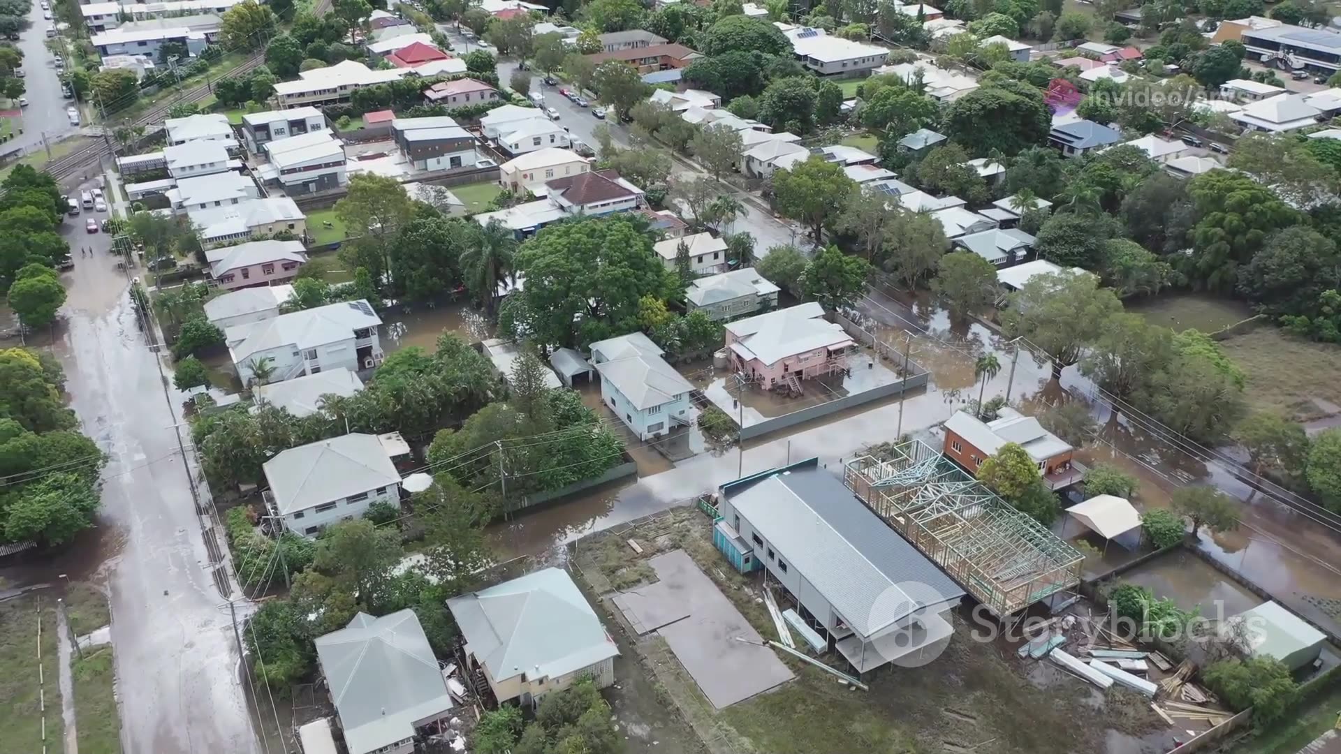 Leptospirosis - What You Need to Know