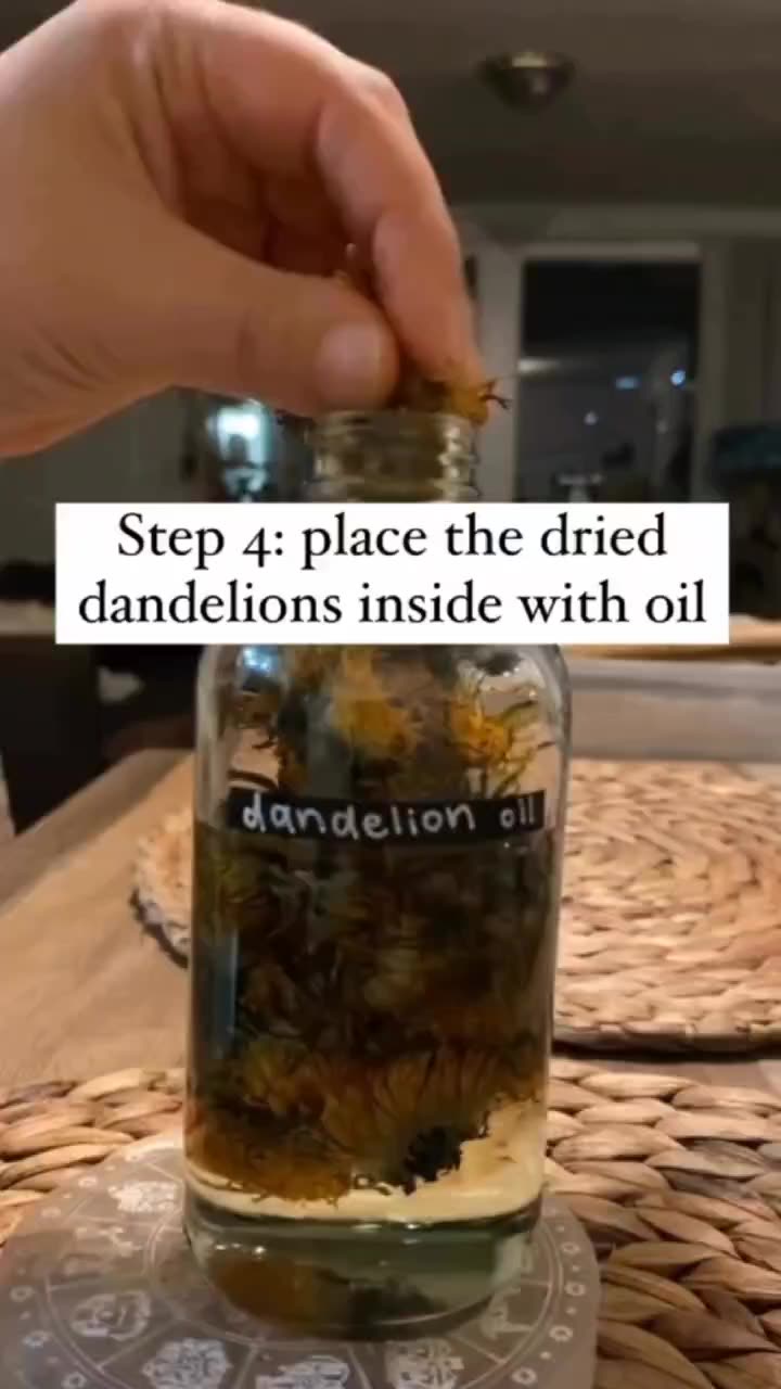How to make Dandelion Oil~Dandelion root has a rich history of use in ...
