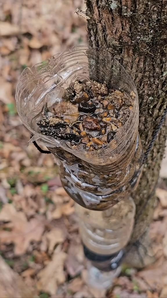 Wilderness Survival ~Making A Survival Water Filter Using Empty Water ...