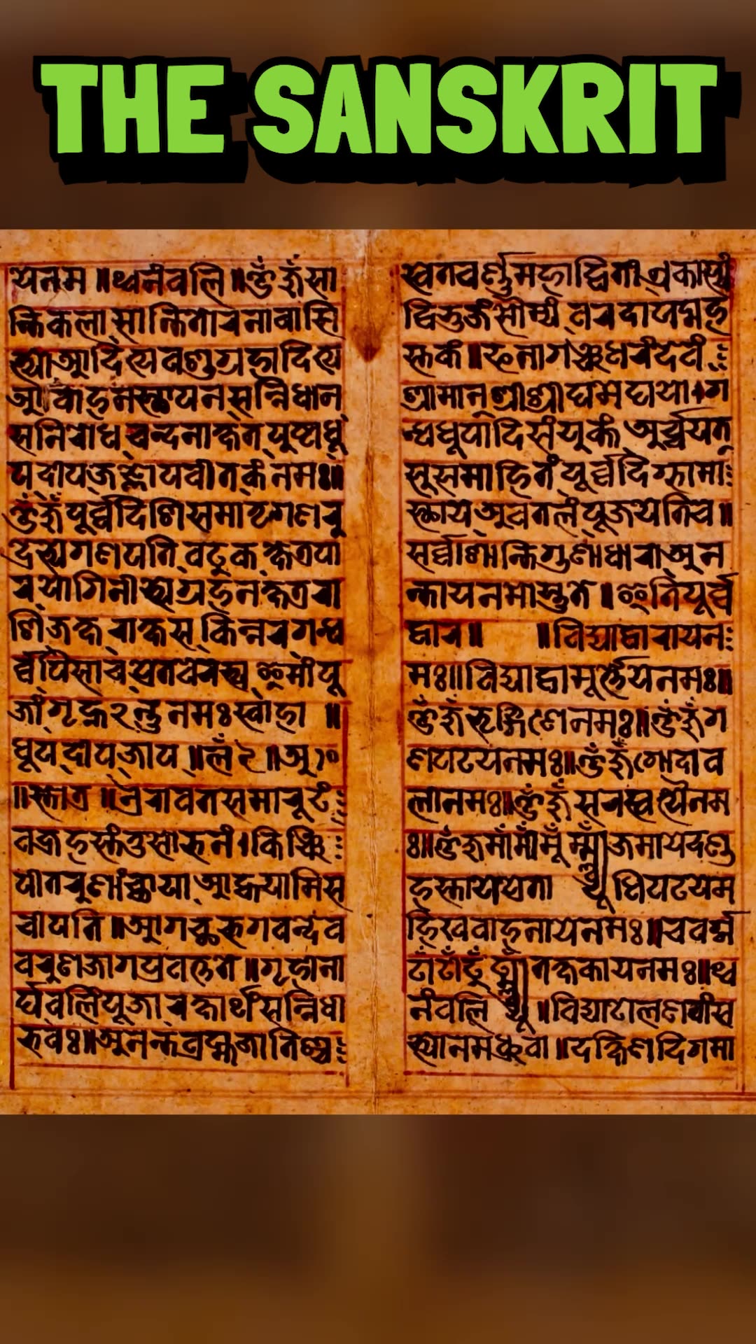 📔Interesting Facts! 👀#shorts #shortsfact #facts #generalfact # ...