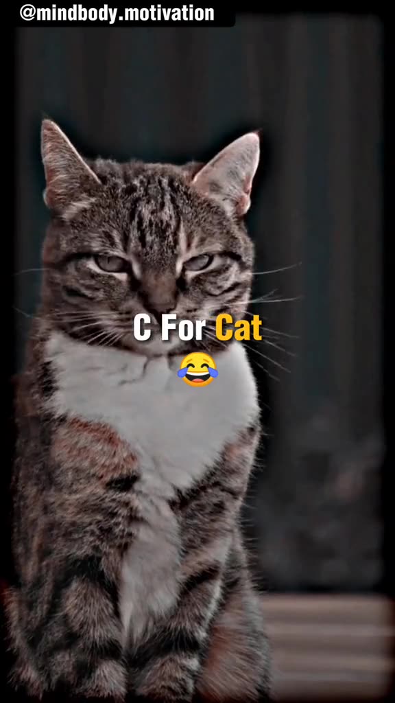 Learnning Alphabet the right way