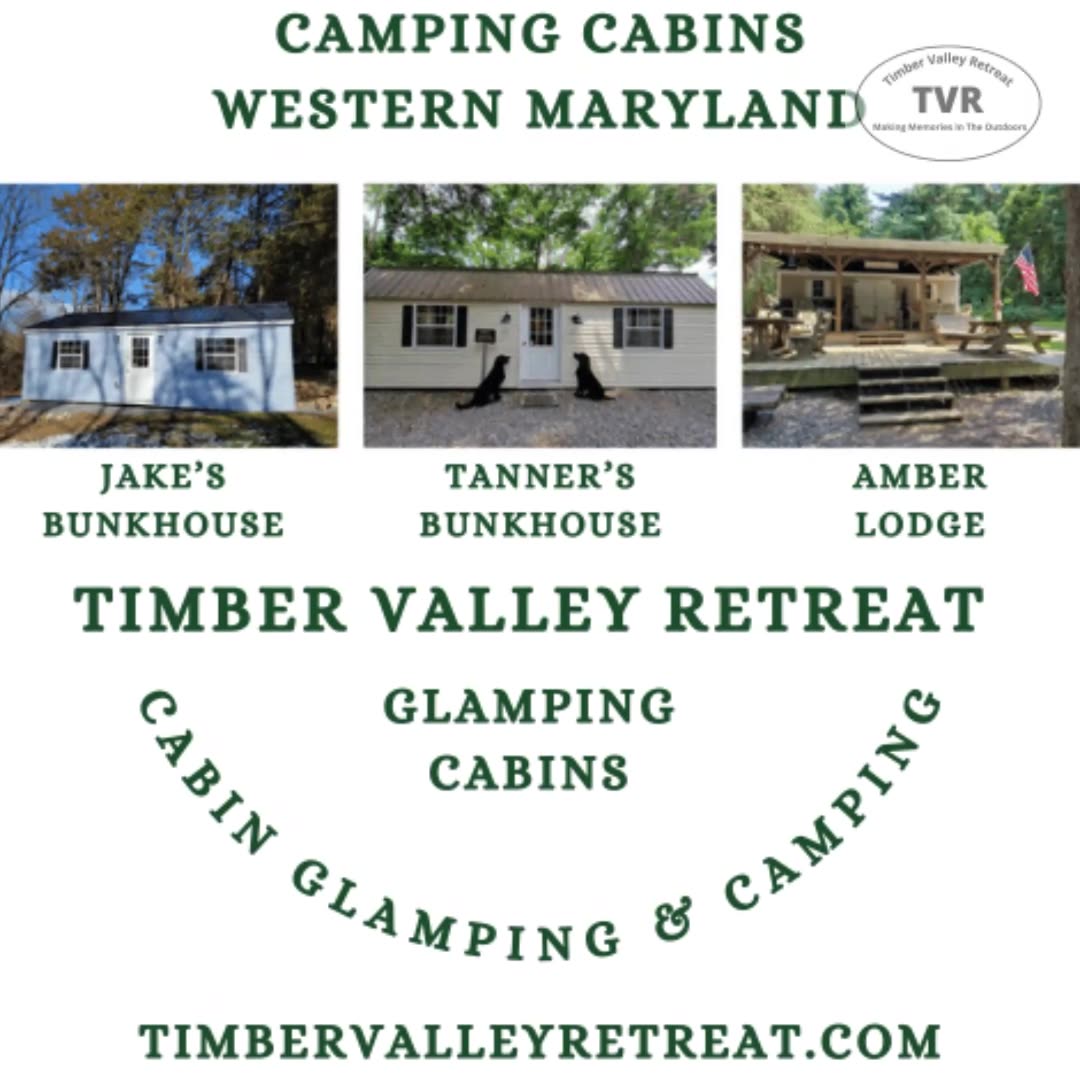 Glamping Camping Timber Valley Retreat Amber Lodge