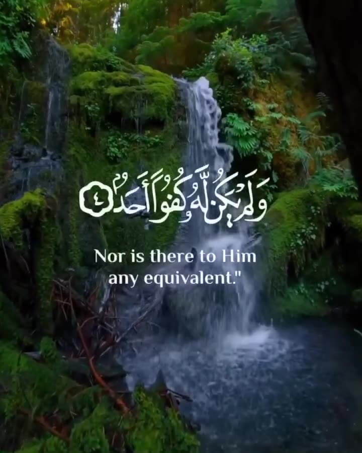 Tilawat e Quran #surah ikhlas _ سورہ اخلاص