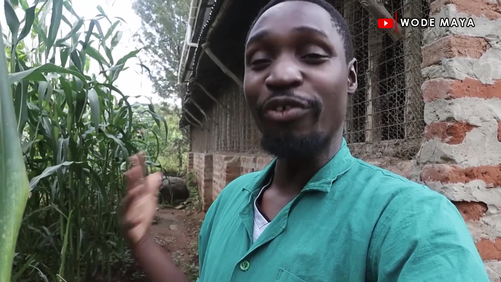 How A 30Yrs Old Retired Medical Doctor Became The Biggest Poultry ...