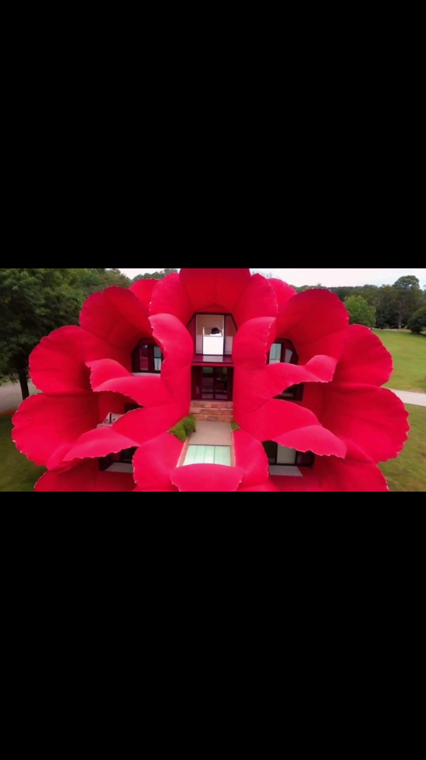 Red Rose Shaped Dream House 🏡