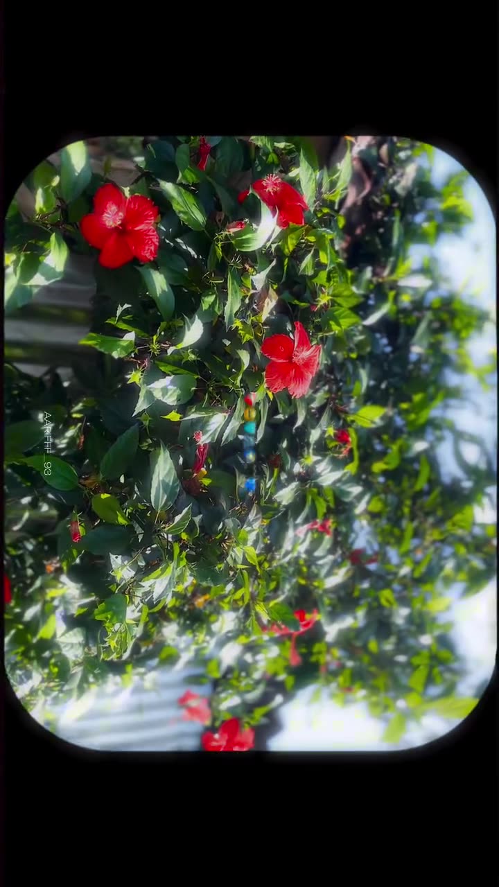 Natural beauty of nature 🤩🤩💗💗 ️
