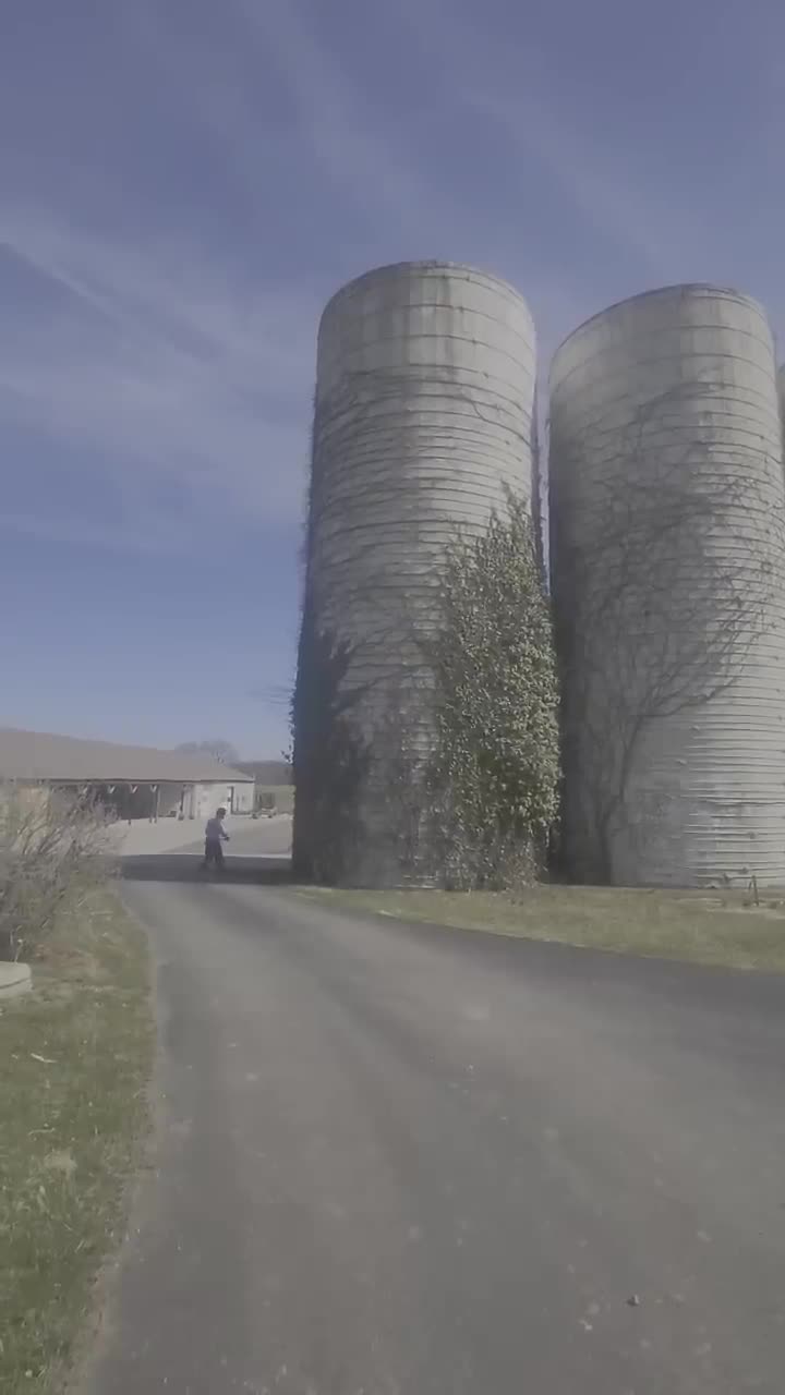 Having a job