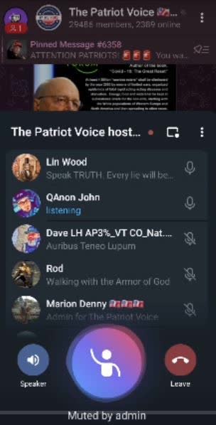The Patriot Voice Lin Wood Track 2 of 8 Transcript link in description