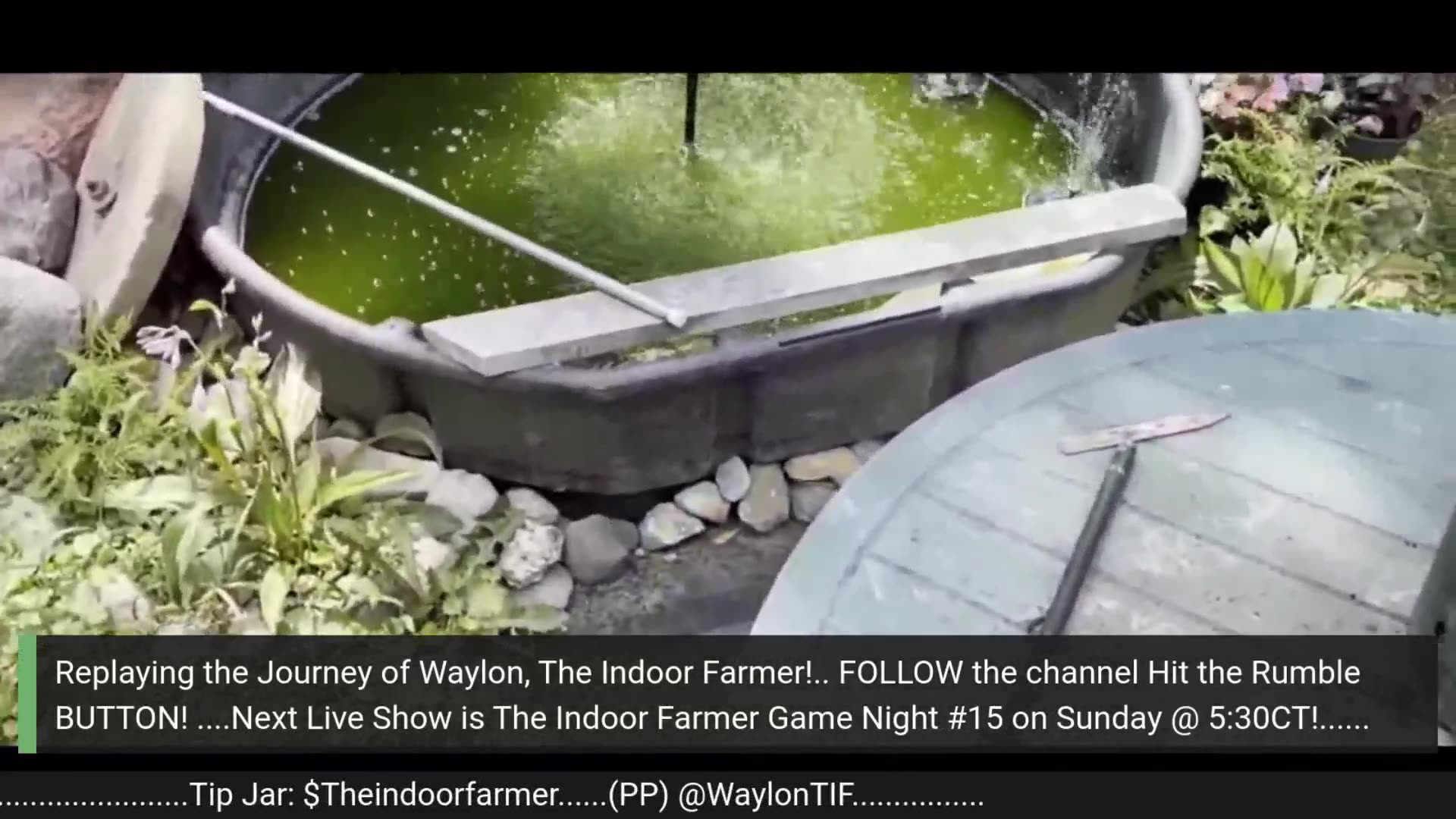Mcabee's Live Market: Presented by Waylon, The Indoor Farmer. Veteran ...
