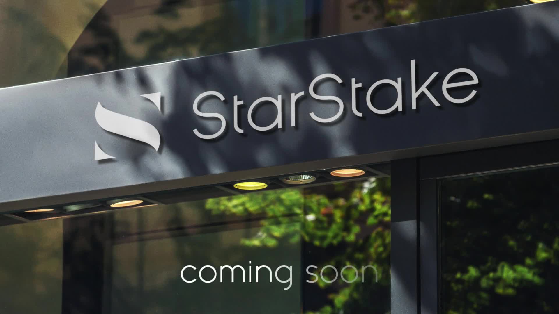 Star Stake LOGO