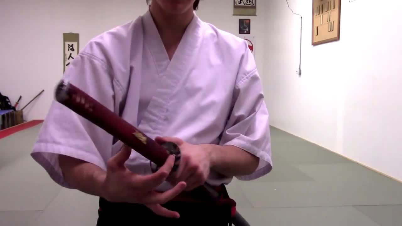 Sword review: Cas Hanwei Nanbokucho raptor