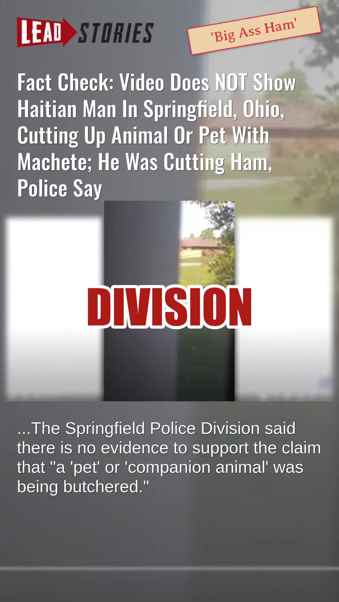 Fact Check: Video Does NOT Show Haitian Man In Springfield, Ohio ...