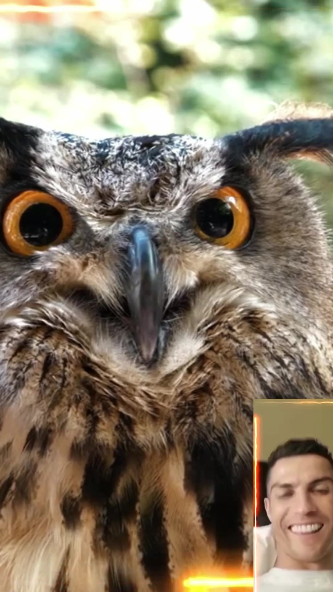 Cristiano Ronaldo's Surprising Reaction to Birds Flying into His Face