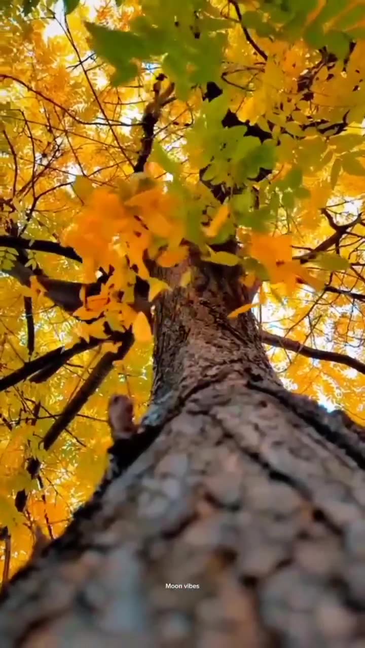 Ayo girl - Jason Derulo & Robinson | Aesthetic | slowed | whatsapp ...