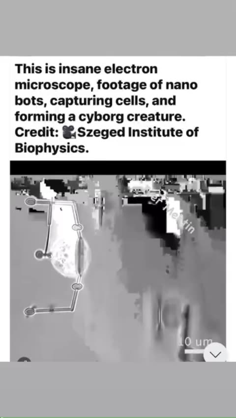 The Rise of Nano Bots: Crafting Cyborgs and Redefining Life Itself