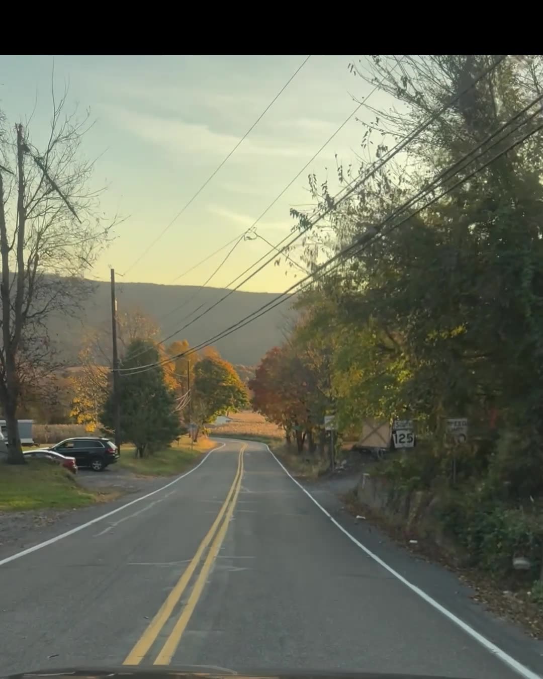 Fall Colors!!!