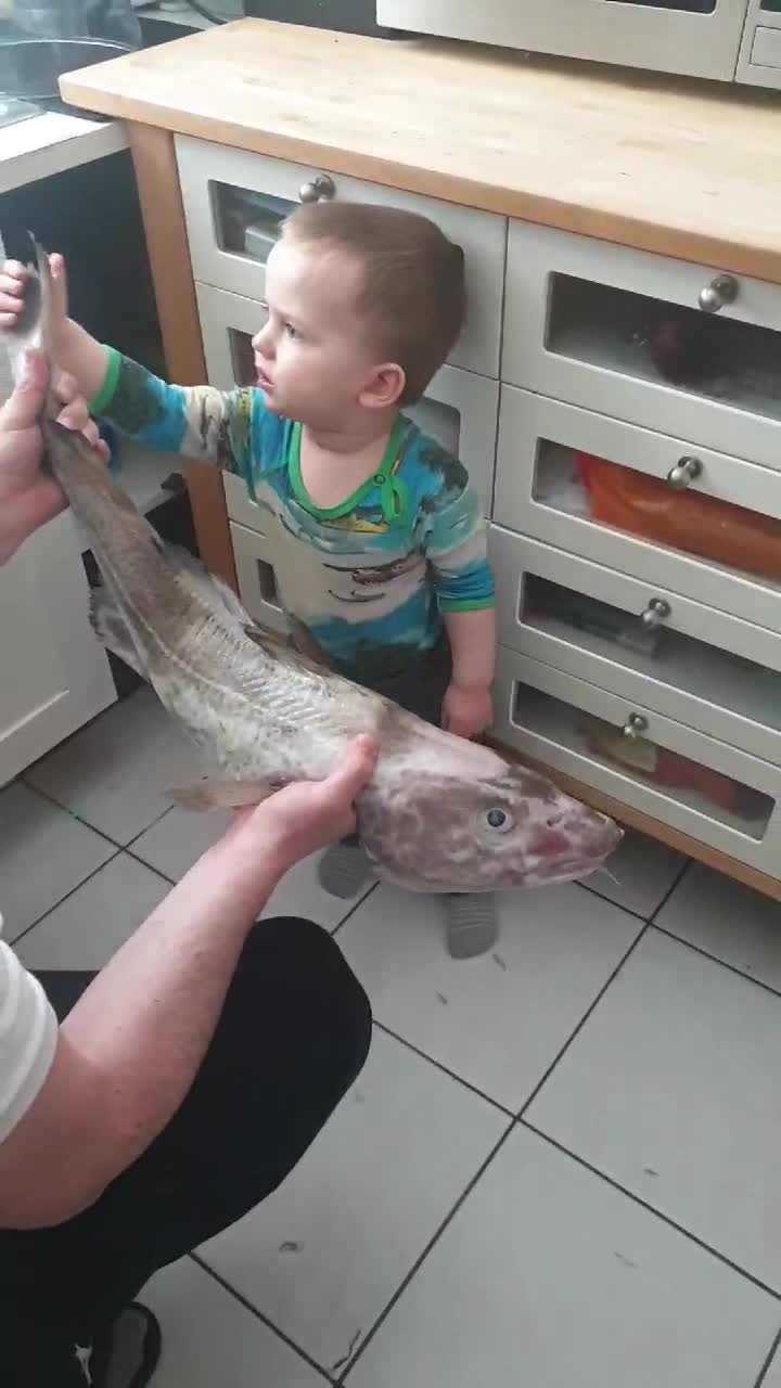 Tajus and fish