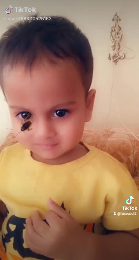 A baby crying insect