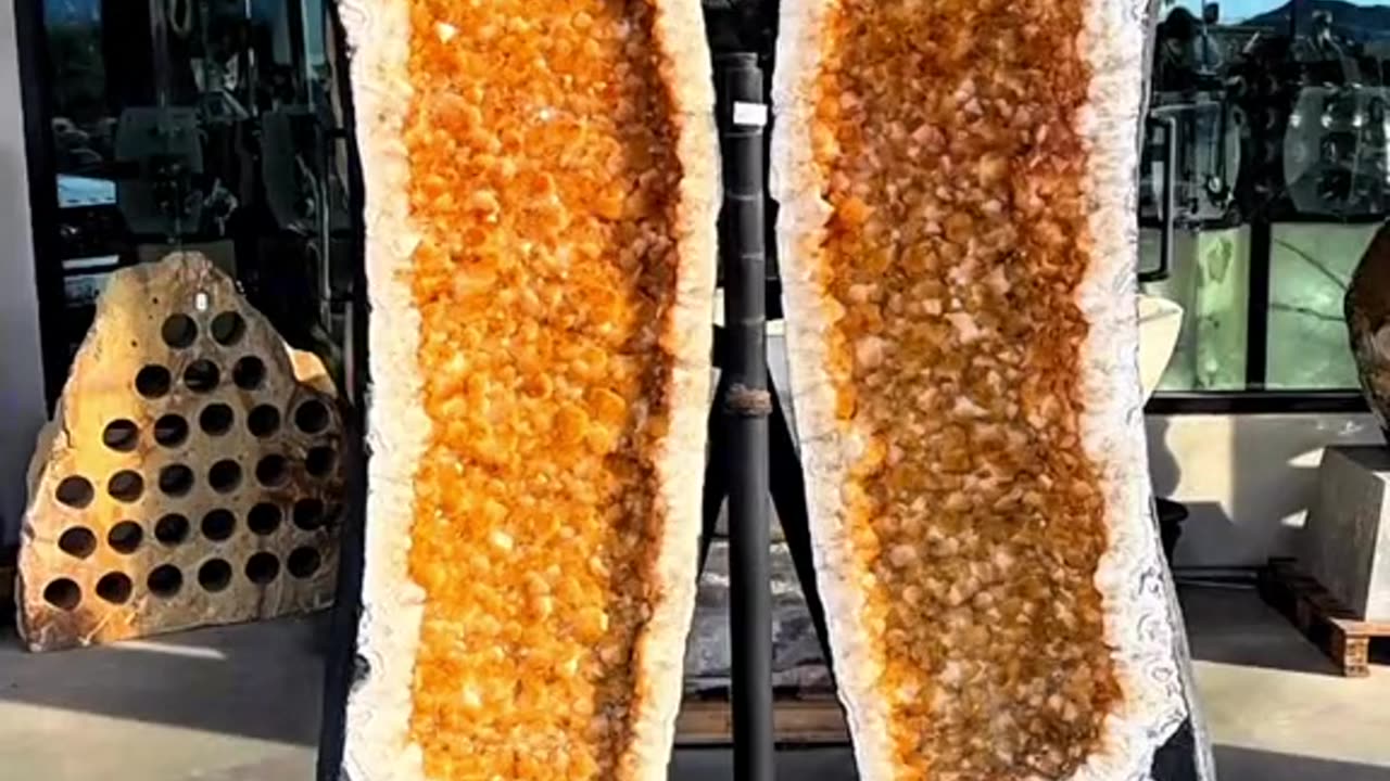 Cultivate Elevate Rare Earth Gallery