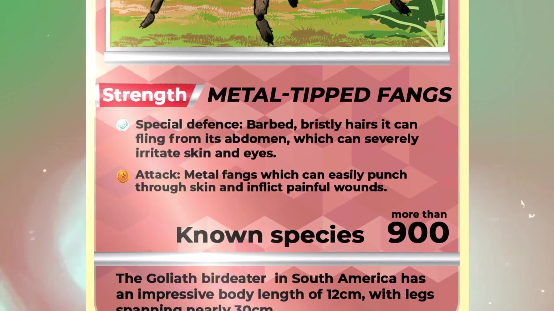 Ever wondered who’d win in a fight between a scorpion and tarantula_ A ...