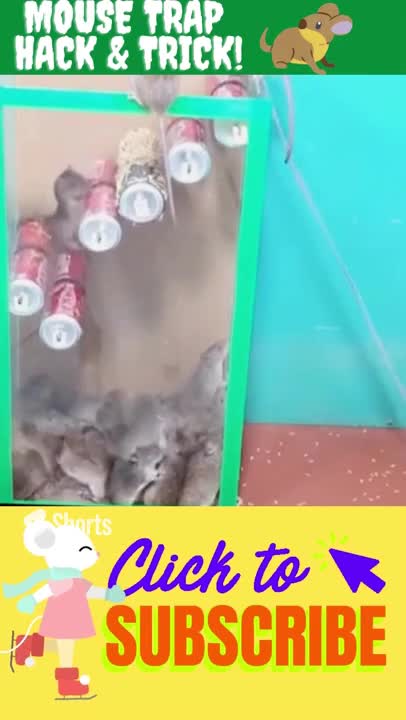 The mouse trap hacks and tracks You've Been Waiting For! #shorts # ...