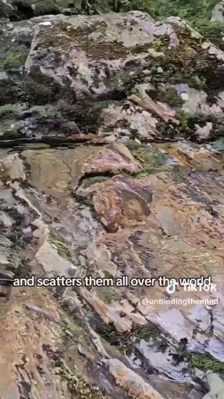 UNBIND YOUR MIND ~WELCOME TO OUR GIANT PETRIFIED PAST!