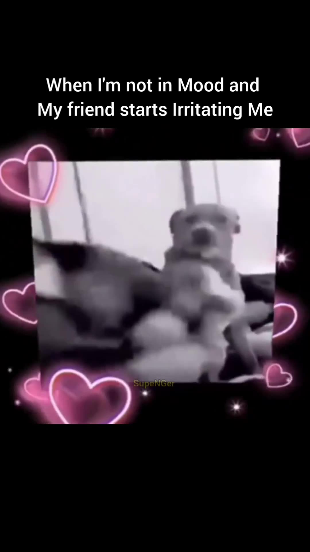 "When Dogs Strike Back: Hilarious Slapstick Moments"