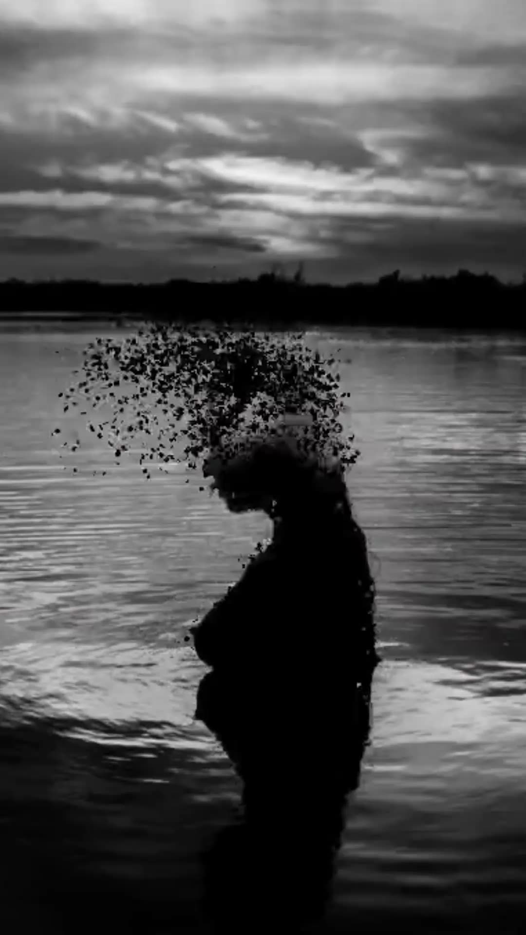 Silhouette Explosion