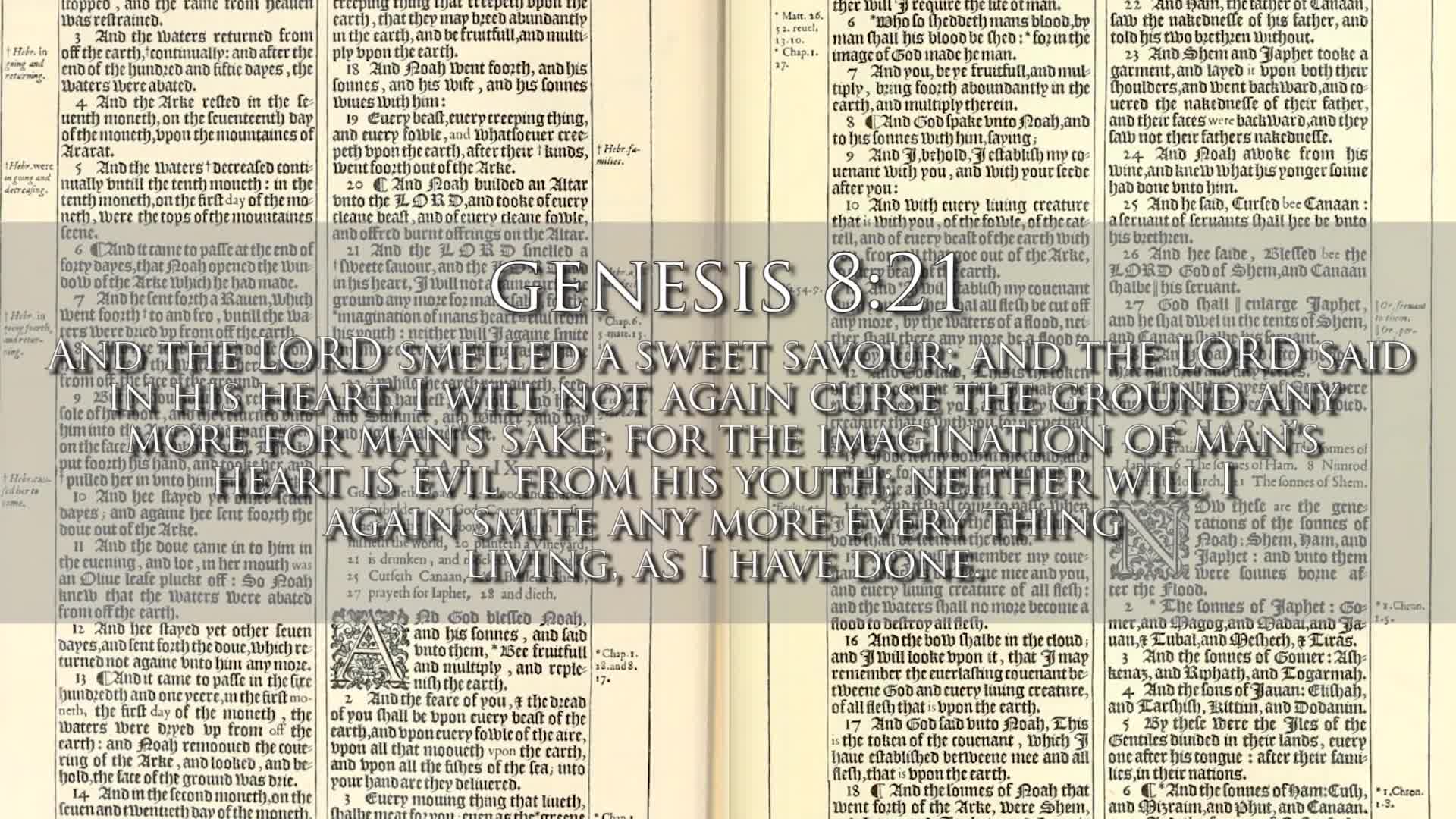 What Does the BIBLE Say: Sons of God vs. Fallen Angels - The Demigod ...