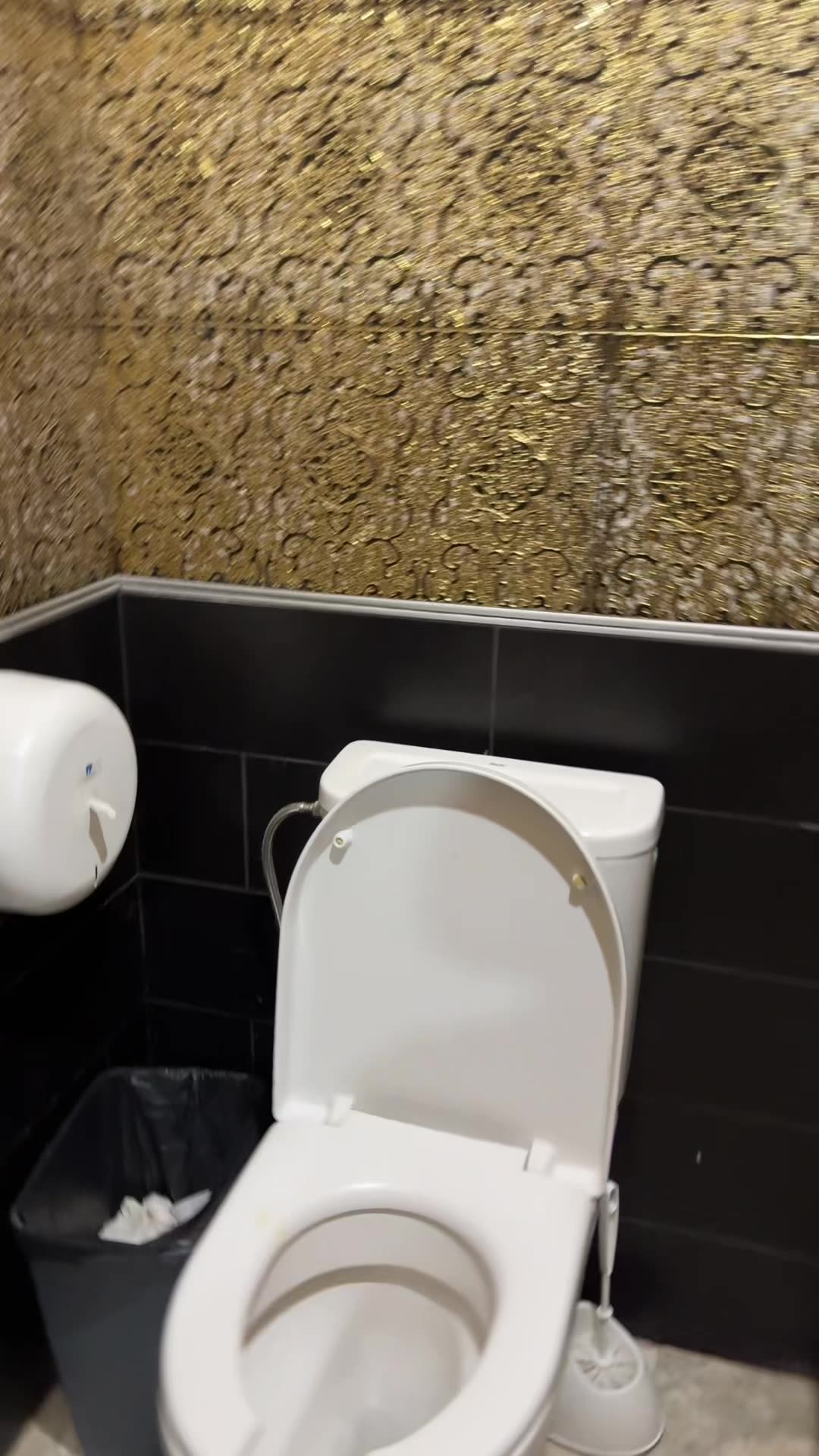 Awkward Toilet Situation