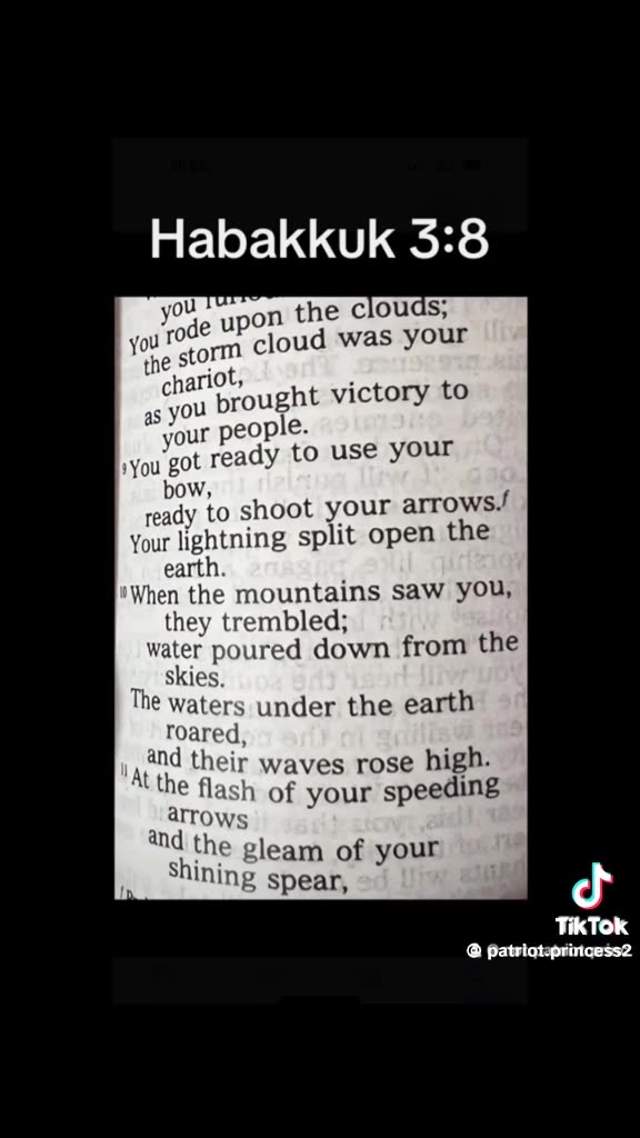 PATRIOT PRINCESS~WHAT IS IT THAT MELANIA’S WEARING A HIBISCUS 🌺 FLOWER ...