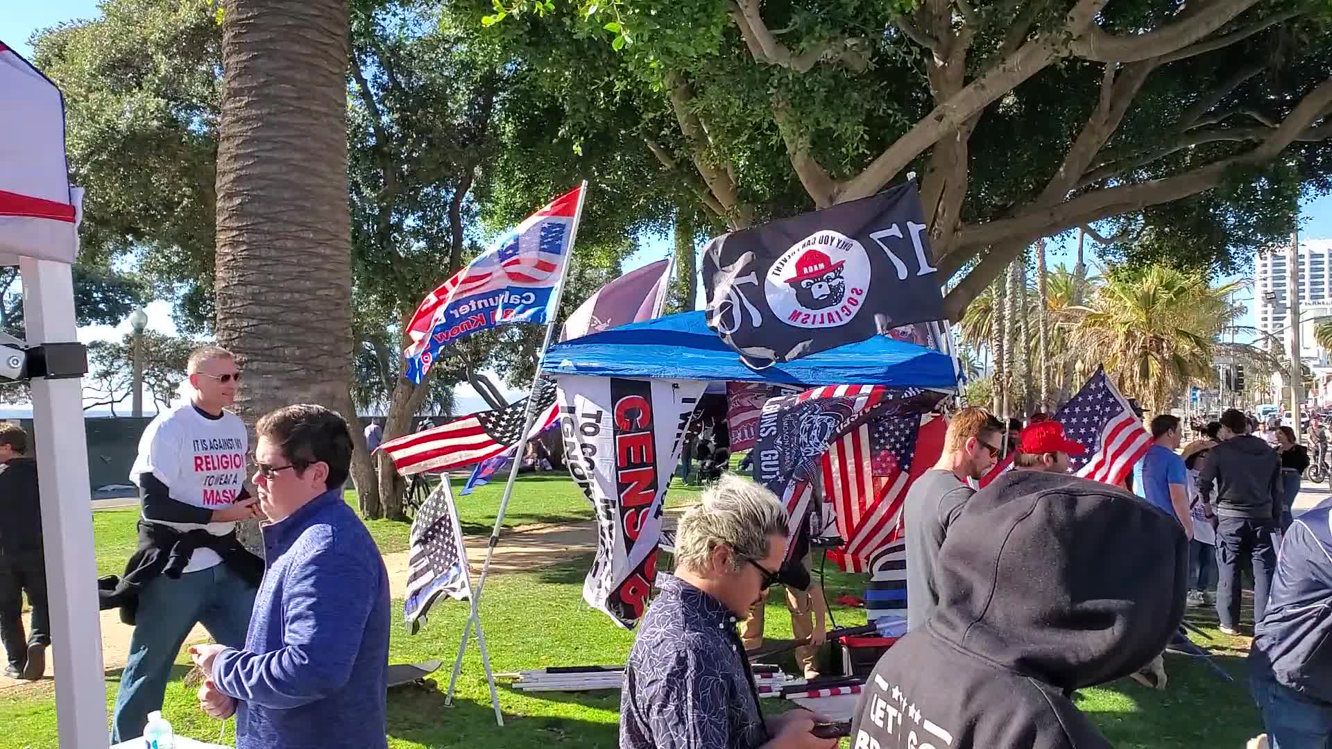 Santa Monica Freedom Rally, Flags Everywhere!