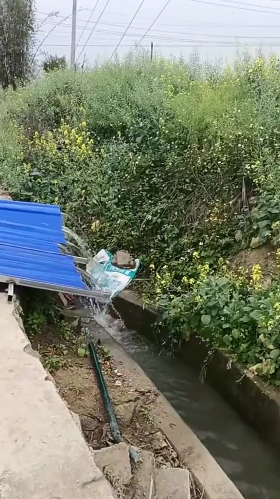 DL Panda Viral Videos on tiktok