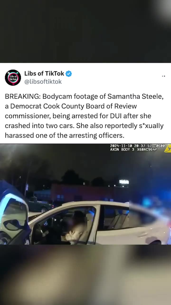 Politics - 2024 Cook County Liberal Elected Official Samantha Steele ...