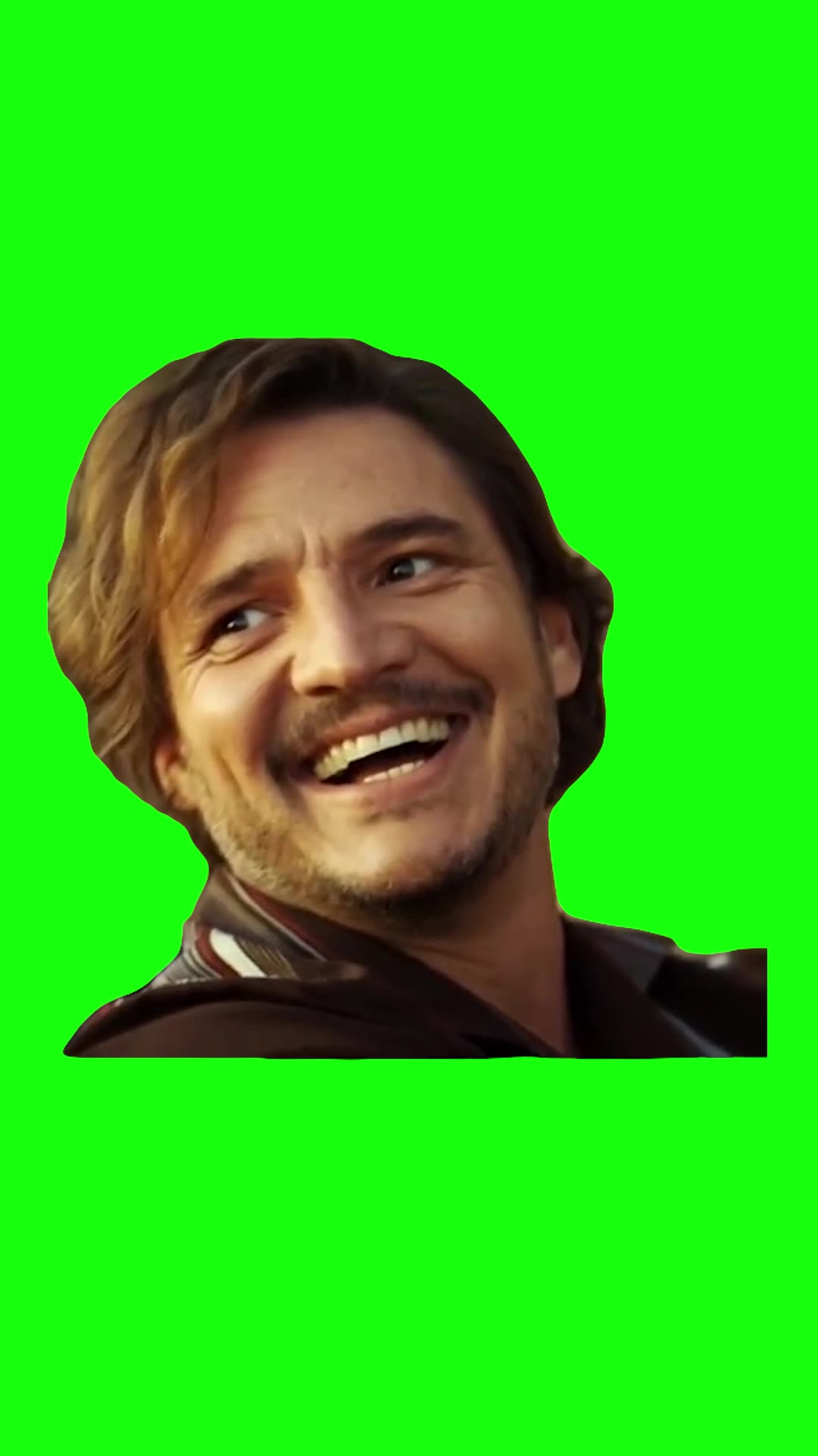 Nicolas Cage and Pedro Pascal Car Meme | Green Screen