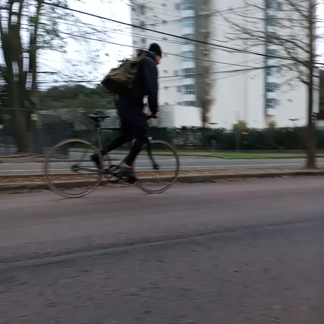 Skid fixed gear