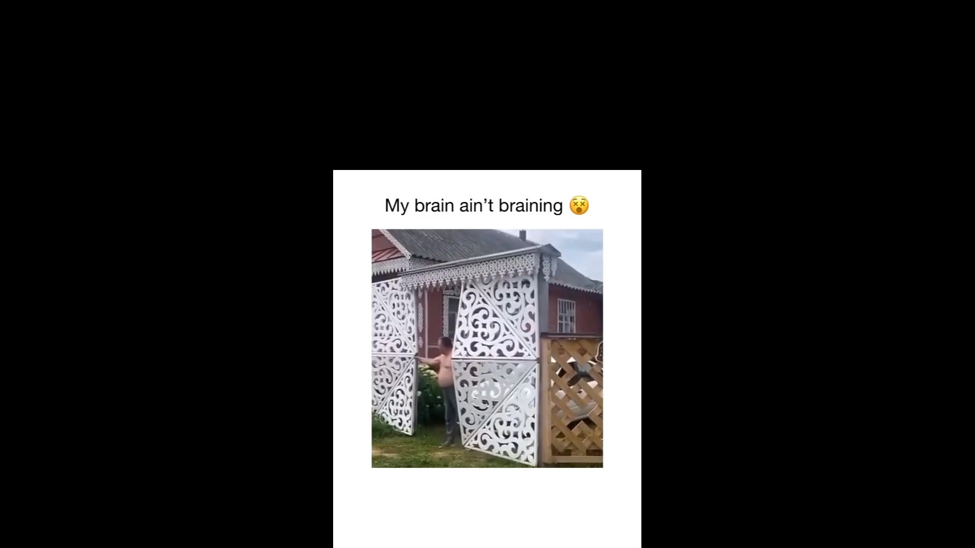 Brain is not braining ~ Cat Memes #CatMemes #FunnyCats #LaughOutLoud # ...