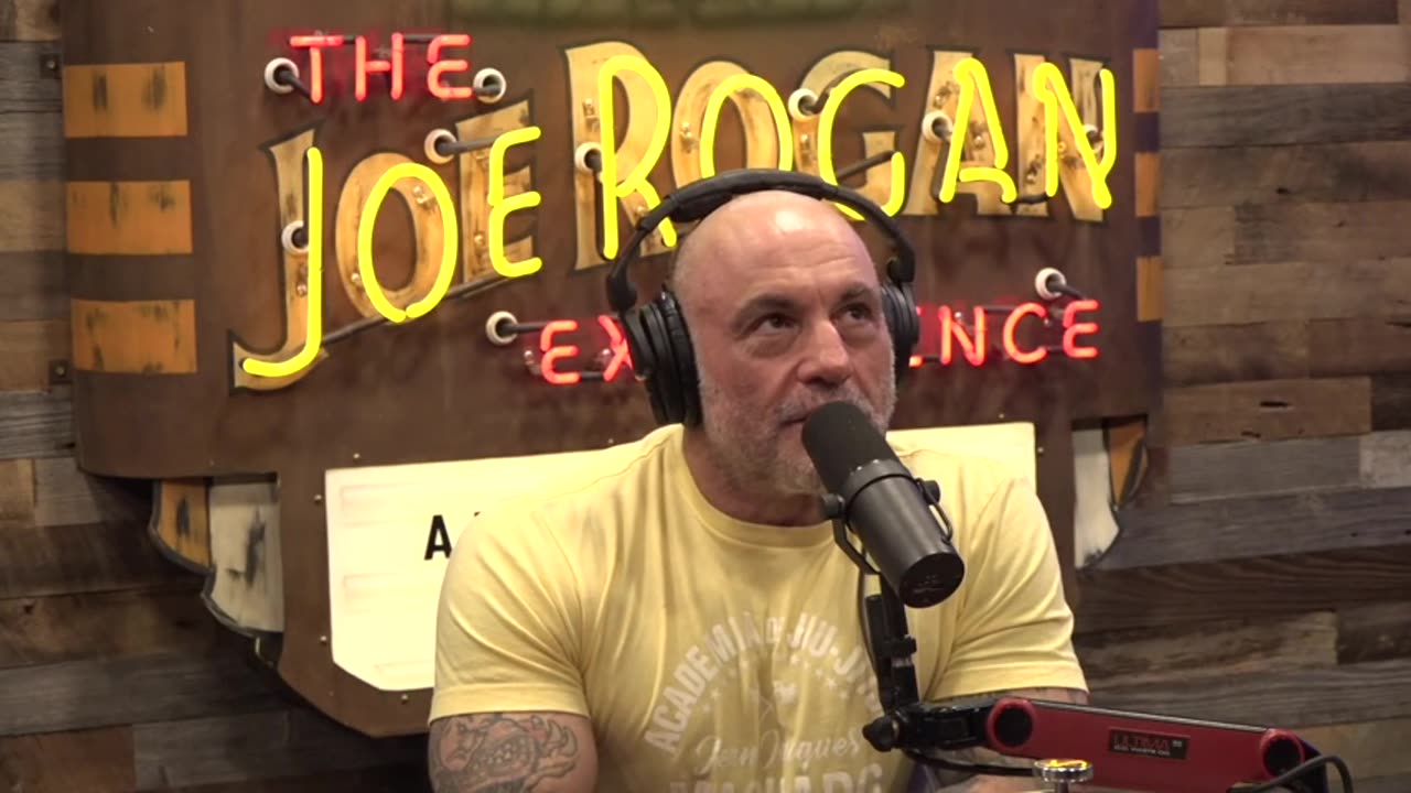 Joe Rogan Experience #2238 - John McPhee 12-4-24